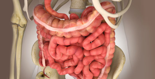 Cancers de l'intestin Archives - Familles Santé Prévention