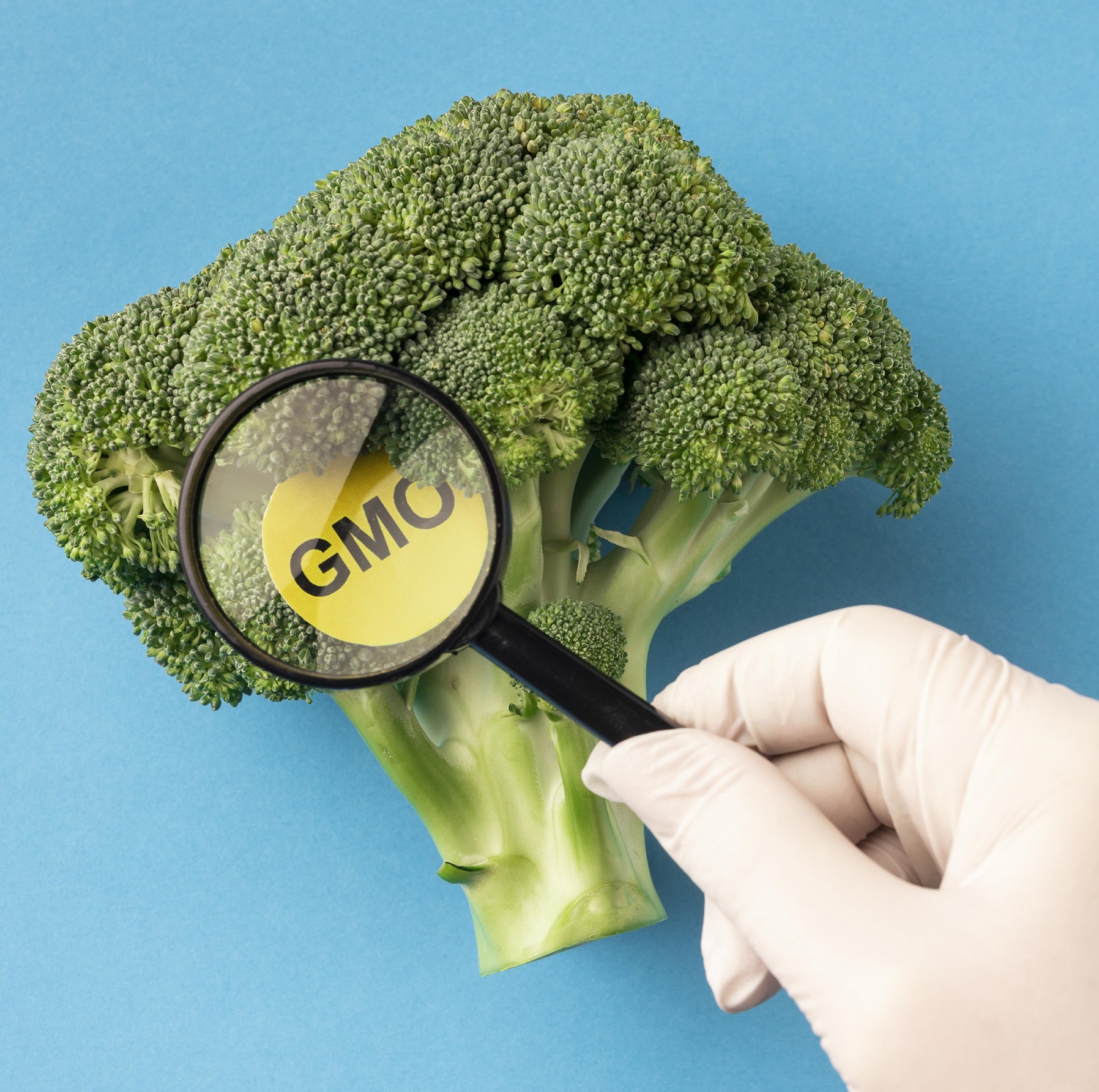 Les OGM anciens et nouveaux - pesticides des plantes, quels dangers ...