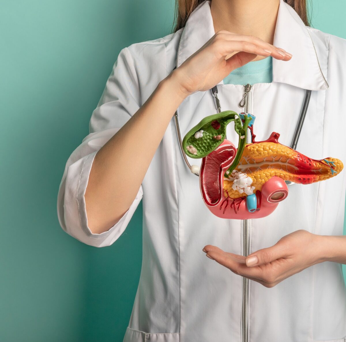 Le pancréas : Fonctions essentielles et défis pathologiques - Familles ...