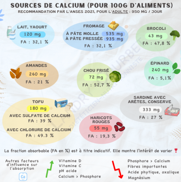 Le calcium : rôles, besoins, sources et absorption
